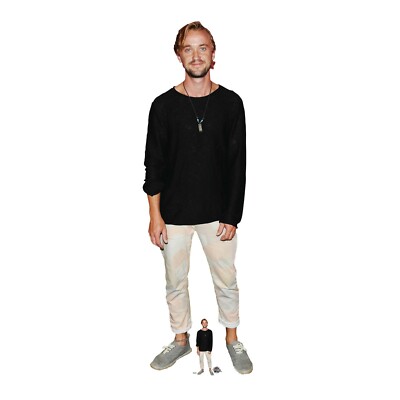 Tom Felton Freizeit Stil Lebensechte Größe Und Mini | eBay