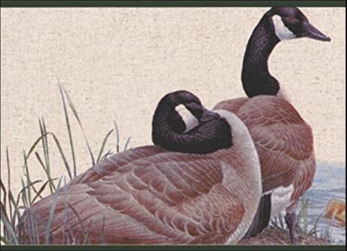 Norwall Prepasted Peelable Border Wallpaper Duck Pond 15 ft x 7 in ...