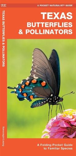 James Kavanagh Texas Butterflies & Pollinators (Broschüre) (US IMPORT ...