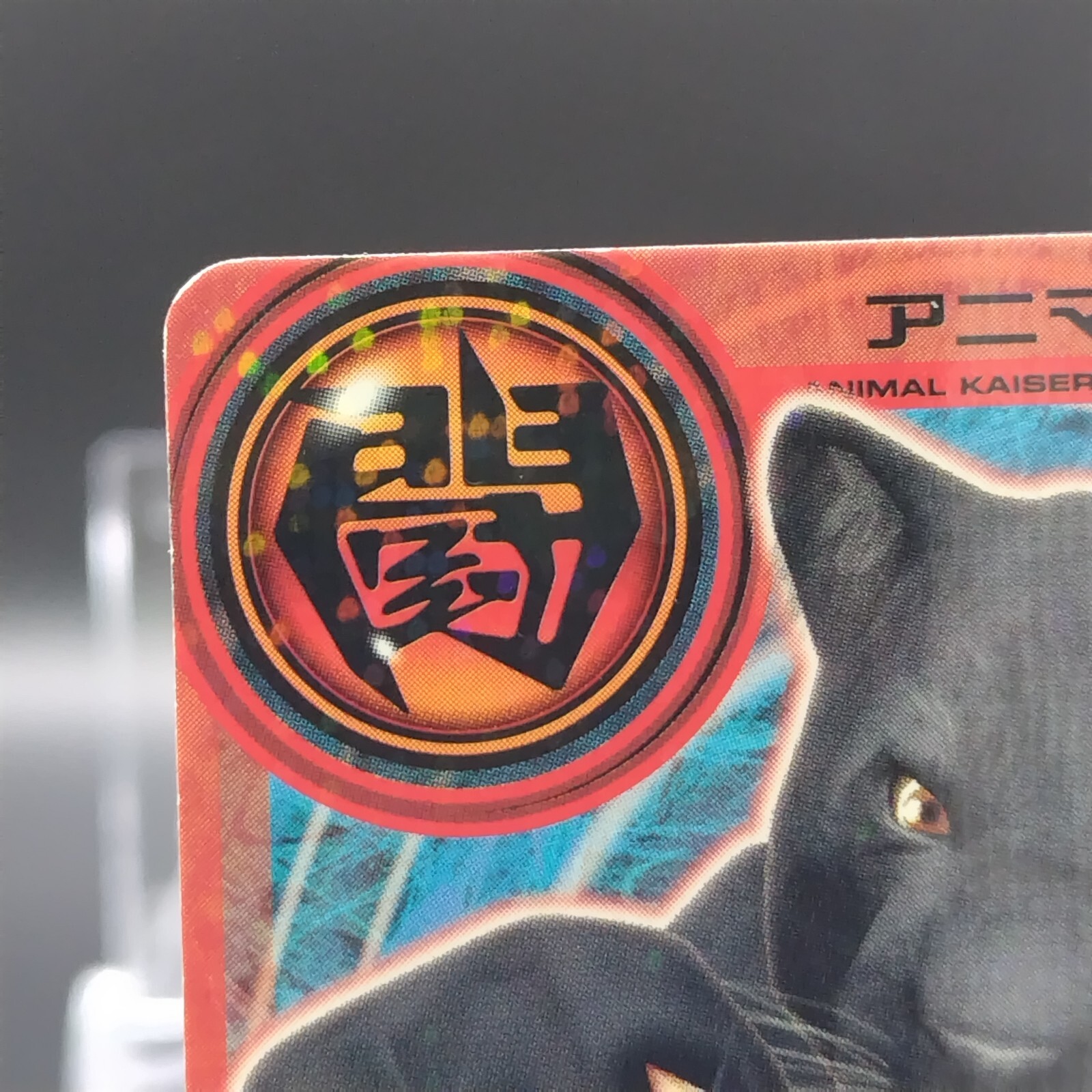 Panthera pardus Animal kaiser Holo Card Japan Japanese 2008 BANDAI A ...
