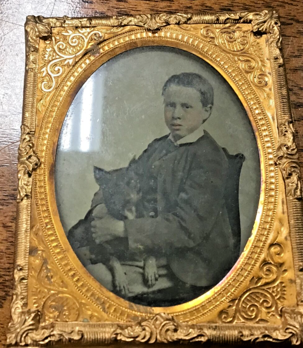 Civil War Era Tintype Ferrotype Photograph Of Young Boy With Dog 9th ...