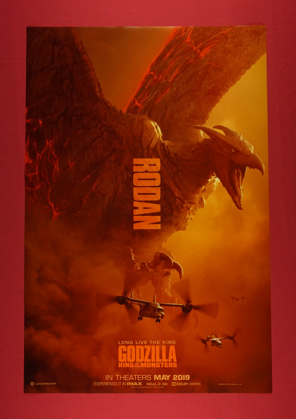 Godzilla King Rodan Flying Daikaiju Monster 2019 Movie Poster 24X36 New ...