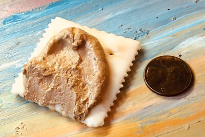 Realistic Faux Fake Food Peanut Butter Saltine Cracker 3D MAGNET Prop ...