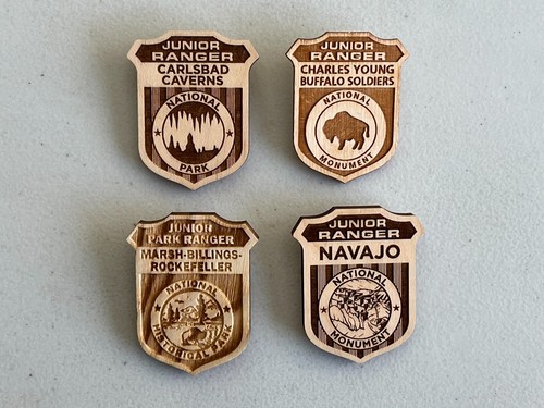 LOT of 4 JUNIOR RANGER BADGE National Park Service NPS Pin CARLSBAD ...