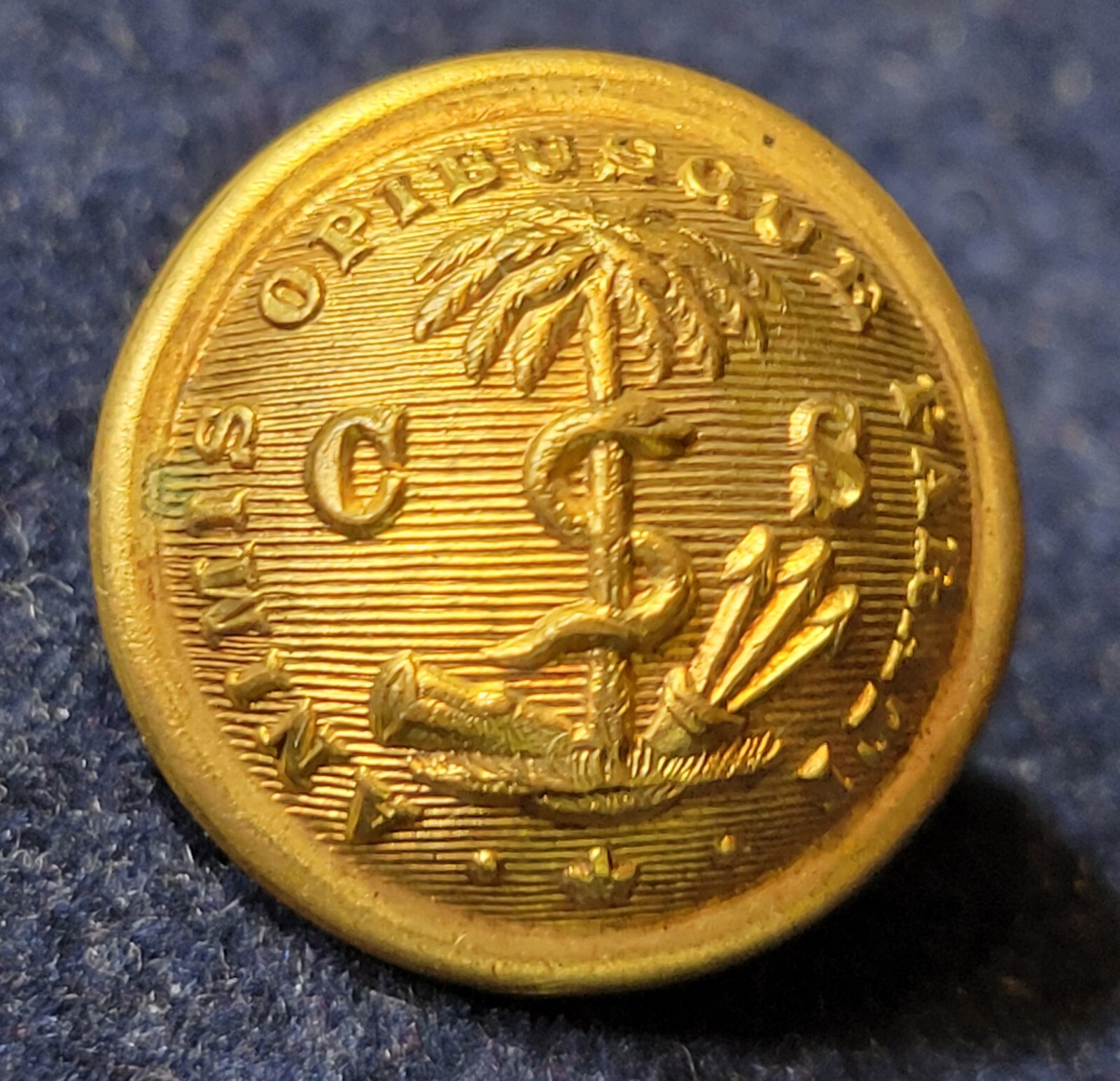 CIVIL WAR ERA CONFEDERATE SOUTH CAROLINA PALMETTO GUARD BUTTON ALBERT ...