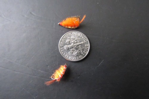 One Dozen Scud Orange Nymph choice sizes 14 12 trout fly fishing | eBay