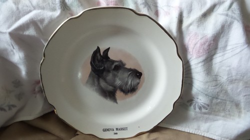 Vintage Porcelain Advertising Plate Sabina Geneva Mkt MN 1969 Schnauzer ...