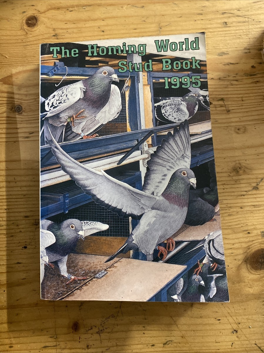 Worlds Best Racing Pigeons Another Top Performance On The Middle
