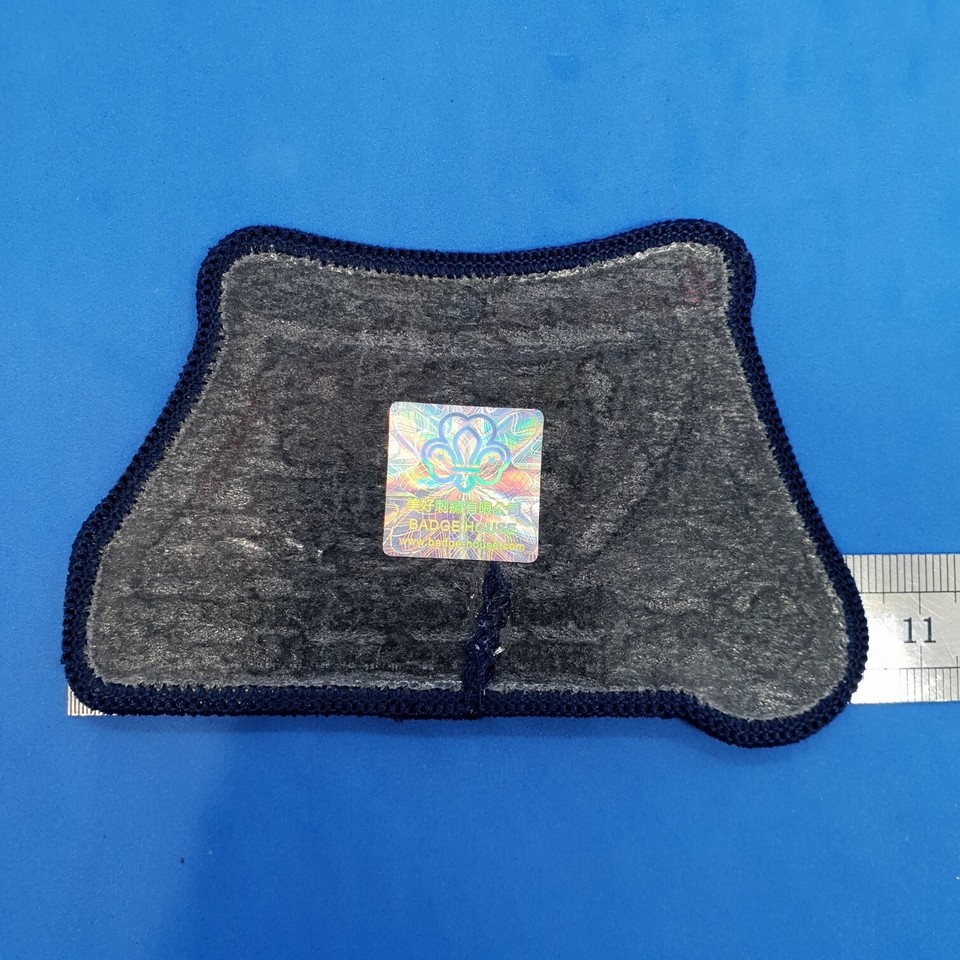 25th World Jamboree Korea 2023 Official TEAM patch / PPA JB BADGE | eBay