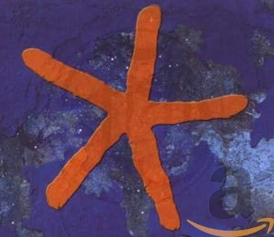 Fish - 13th Star - Fish CD FAVG The Cheap Fast Free Post 604388699124| eBay