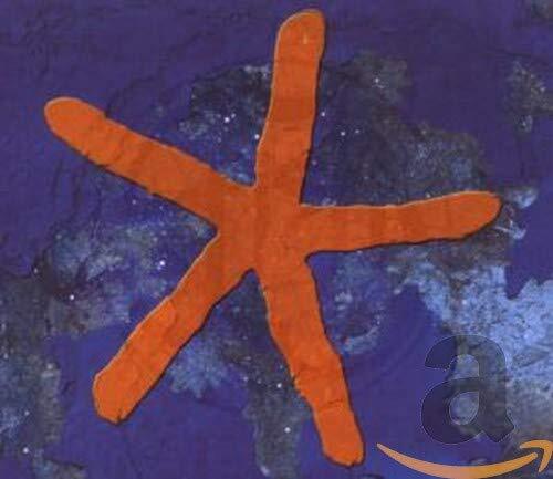 Fish - 13th Star - Fish CD FAVG The Cheap Fast Free Post 604388699124| eBay