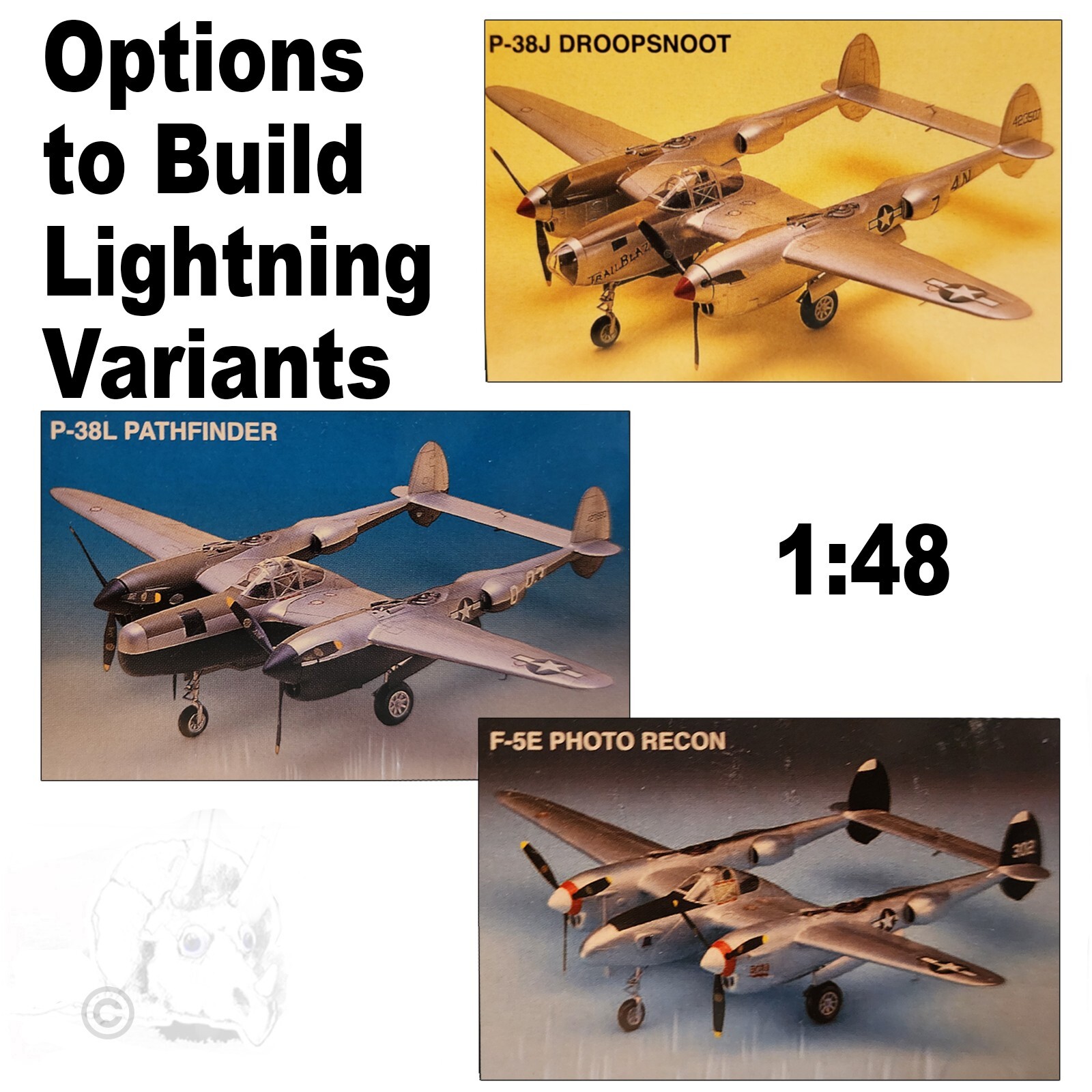 ACADEMY 12282 1/48 P-38E/J/L LIGHTNING KIT | eBay