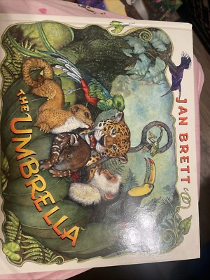 Umbrella by Jan Brett (2004, Hardcover) 9780399242151| eBay