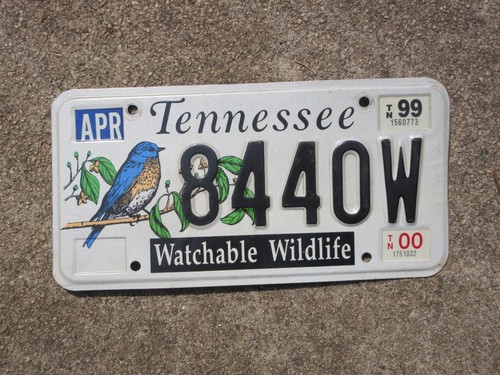 2000 Tennessee Watchable Wildlife Blue Bird License Plate 8440W TN Tenn ...