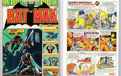 Batman #255 Key Comic Book 1st Anthony Lupus - DC Comics (1974) Neal ...