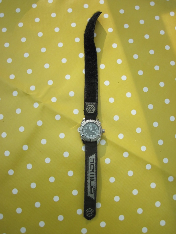 ANIMAL WATCH MODEL CARVER ALSO SELLING OTHER SURF WATCHES | eBay