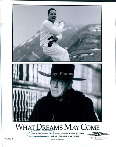 Photo Actor What Dreams May Come Cuba Gooding Jr Max Von Sydow Polygram ...