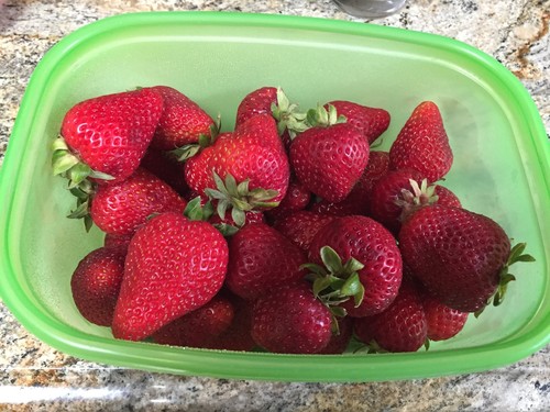 Debbie Meyer GreenBoxes Food Storage Organizer Containers With Lids ...