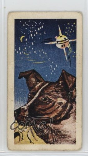 1963 Lyons Maid Space Exploration Laika #22 11bd | eBay