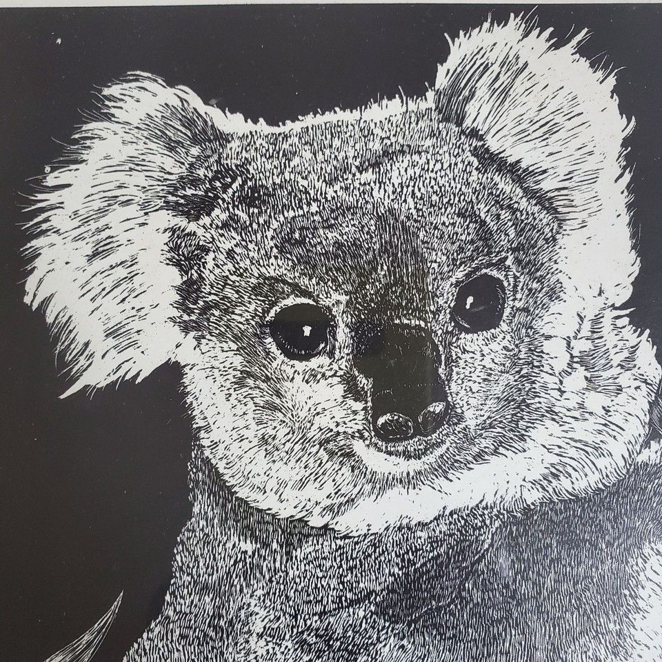 Vtg Rare Koala Lithograph Art Quaint Endearing Double Matted, Gilded ...