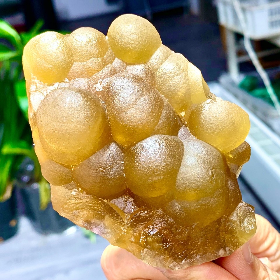 384G Natural transparent bubble shaped yellow flour cluster spiritual ...