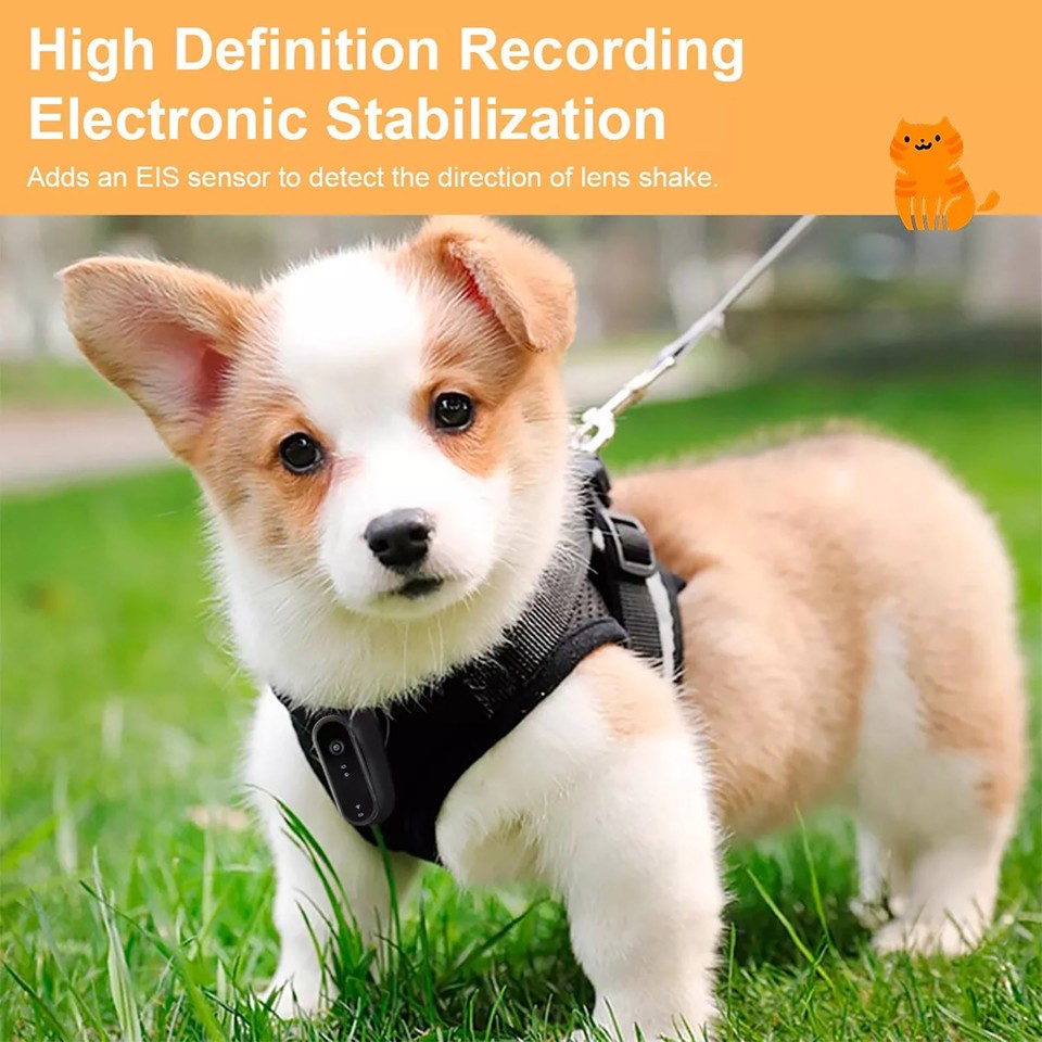 Portable Pet Dog Cat Mini Collar Camera Sports Camera Recorder Cam ...