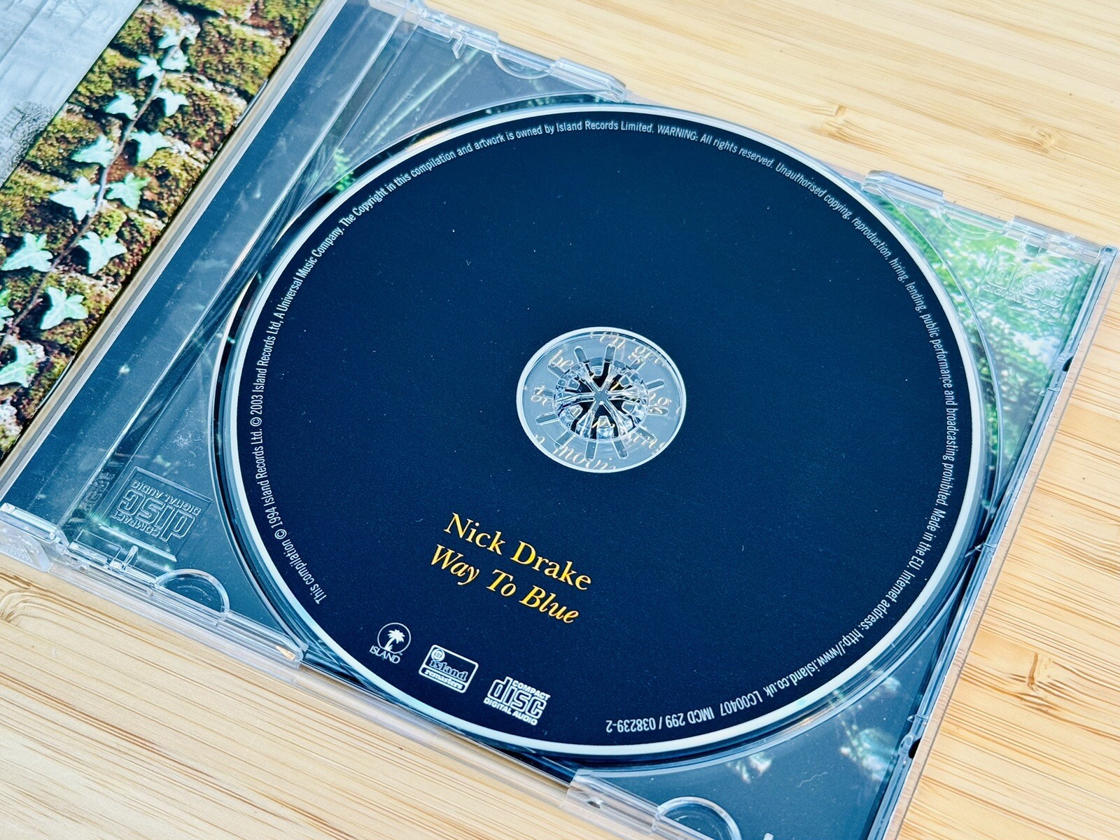 Nick Drake - Way to Blue: An Introduction to Nick Drake (1994) CD ...