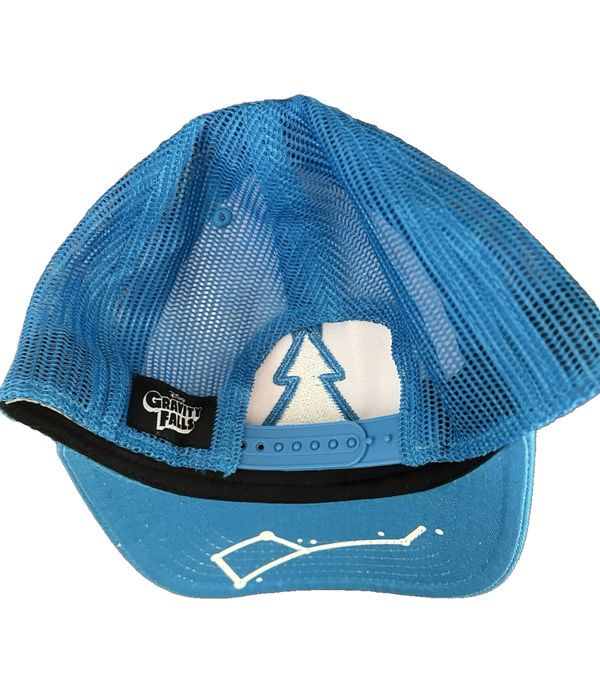 Dipper Aqua Pine Flat Hat Unisex Adult Gravity Falls Cap Gravity Falls ...