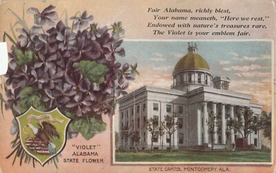 Postcard Violet Alabama State Flower, Emblem & State Capitol Montgomery ...