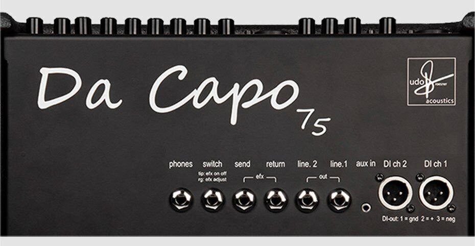 Udo Roesner Da Capo 75 Acoustic Guitar Amp Amplifier 75W Combo 220V | eBay
