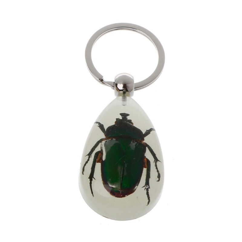 Luminous Amber Insect Keychain Black Scorpion Key Ring Glow in the Dark ...