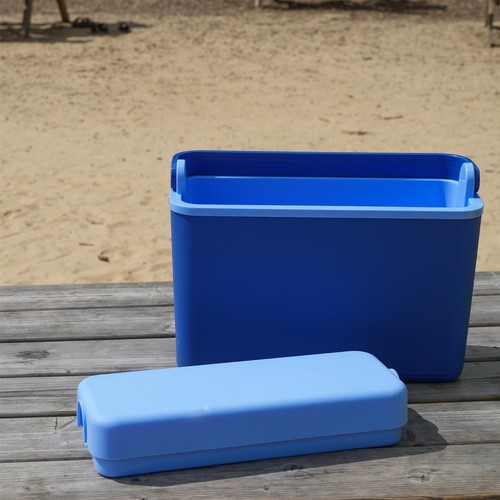 Cooler Box Beach Camping Picnic 12L Large Ice Food Travel Insulated ...