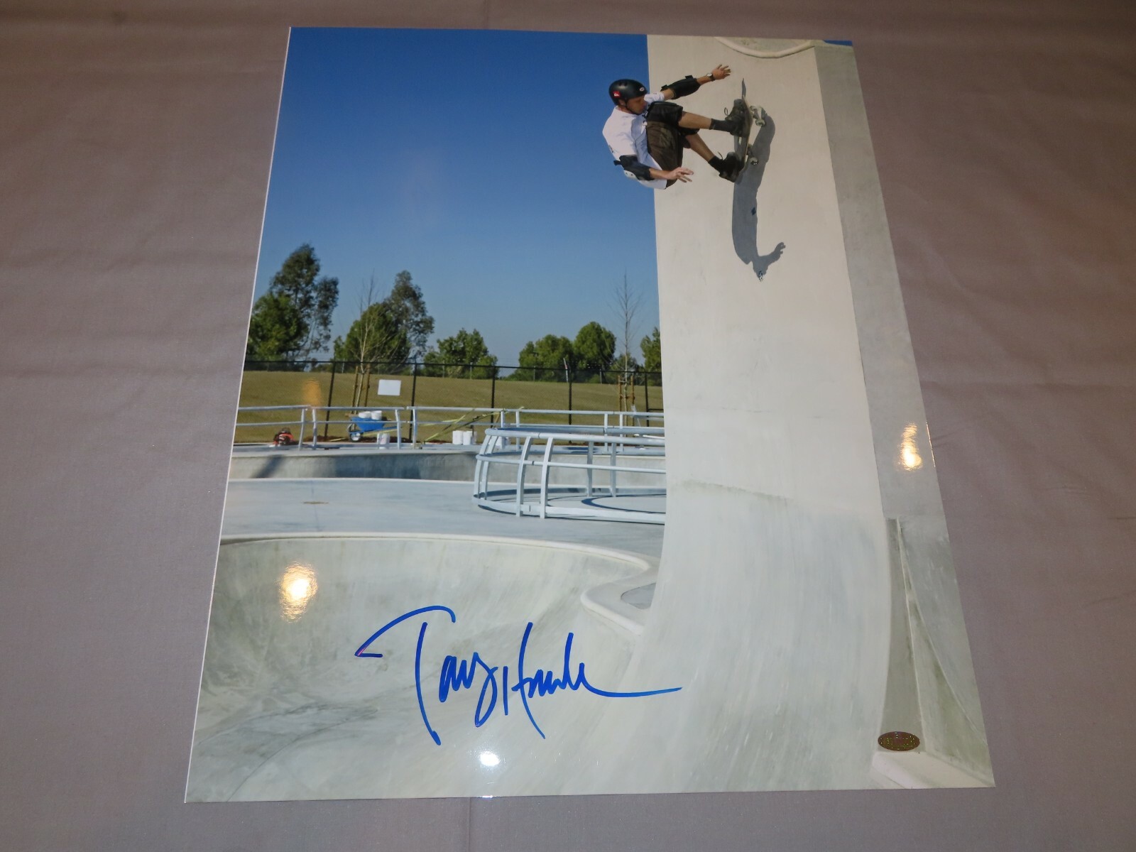Tony Hawk Autographed Memorabilia | Signed Photo, Jersey, Collectibles ...