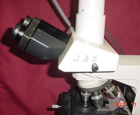 Nikon Labophot 2 Trinocular Microscope | eBay