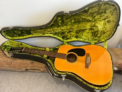 Takamine F-400 12-String Acoustic Guitar with Hard Case Light Gauge ...