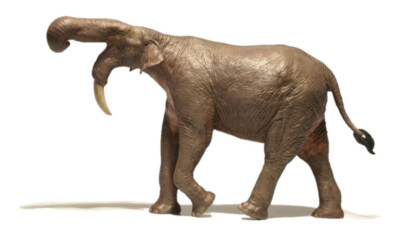 Deinotherium Non Dinosaur Prehistoric Elephant Kin Model Eofauna | eBay