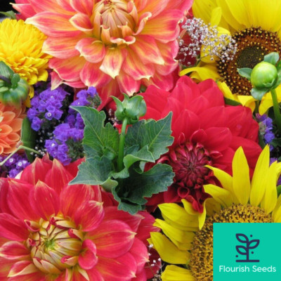 Cut-Flower Mix Bulk Seeds | Flourish Seeds: Cut Flower Meadow Bee ...