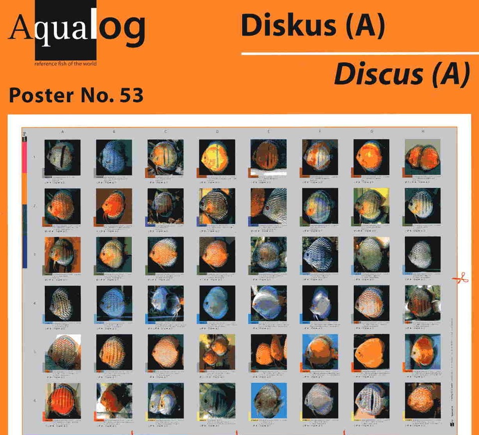 AQUALOG, 3 Discus Fold Posters, for Discus fans! | eBay
