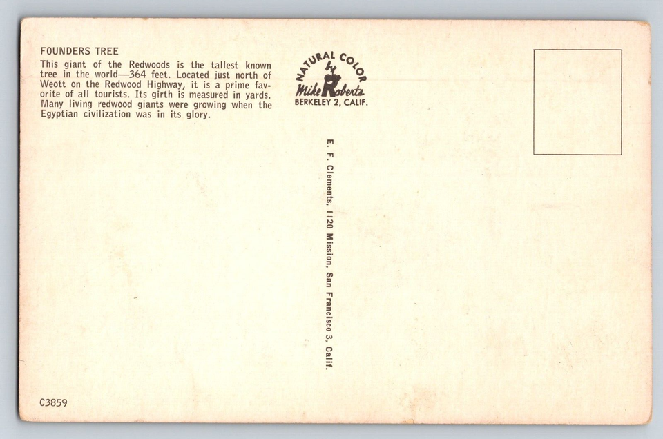 Postcard Founders Tree Tallest Known Tree in the World 364 Feet ...