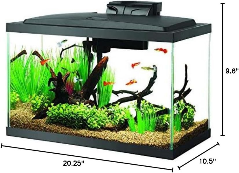 Aquarium Fish Tank Starter Kit with LED Lighting 10 Gallon Fish Tank | eBay