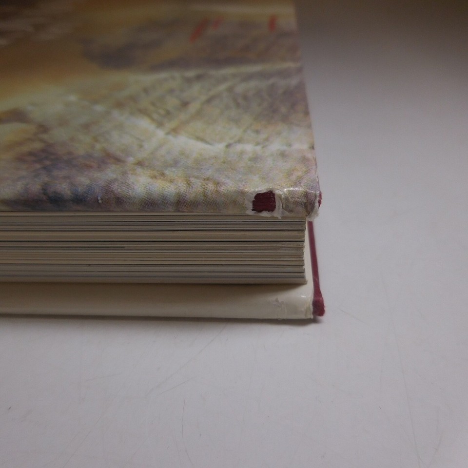 N9069 The Traveller Salt Eric Valli Diane Summers Photography 1994 ...