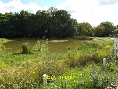 Photo 6x4 Pond on Shenfield Common Brentwood 2 c2015 | eBay