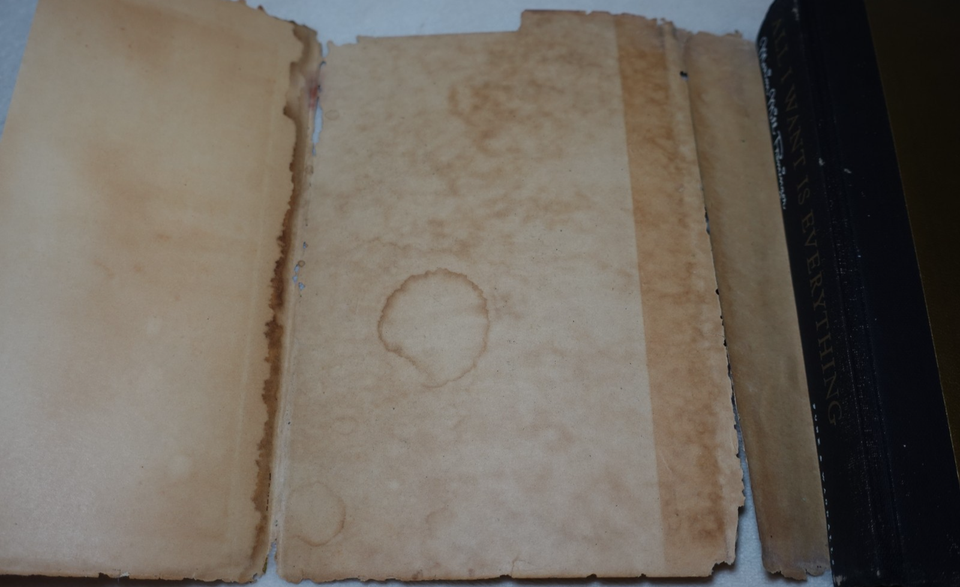 Marion Mill Preminger SIGNED All I Want Is Everything 1957 Hardcover ...