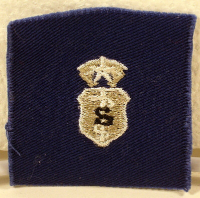 US Air Force Chief Biomedical Science Corps Badge Insignia Blue Fatigue ...