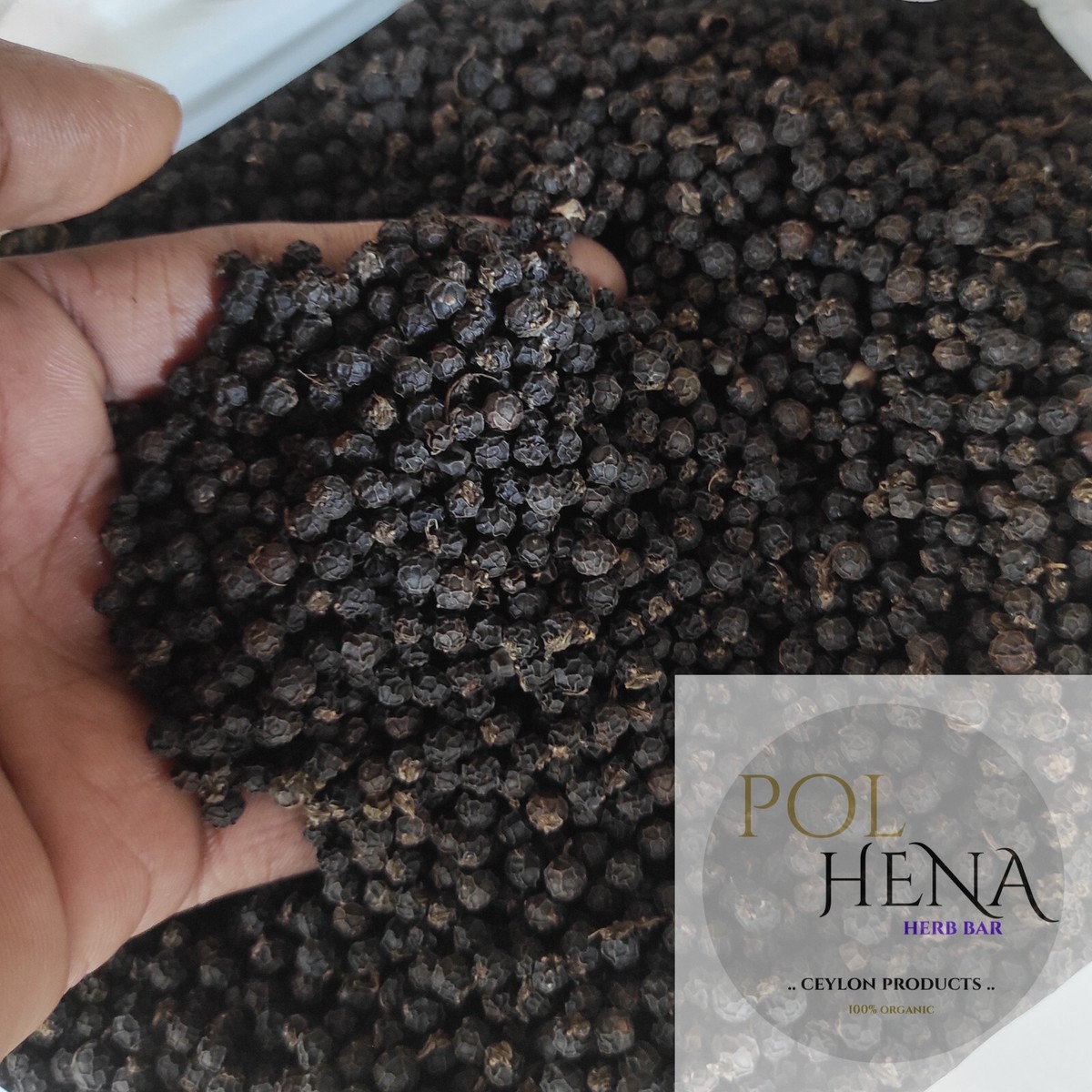 Black Pepper Seed Rate
