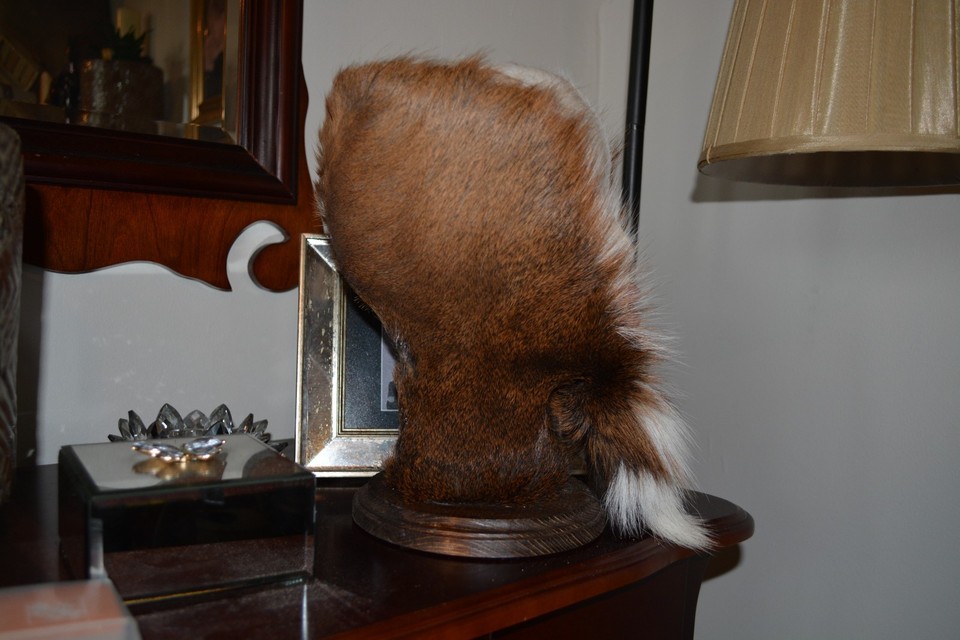 Taxidermy Swamp Booger/Assquatch | eBay