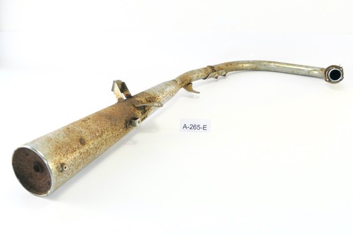 Daelim VS 125 F Bj 1996 - Silencieux d'échappement A265E | eBay