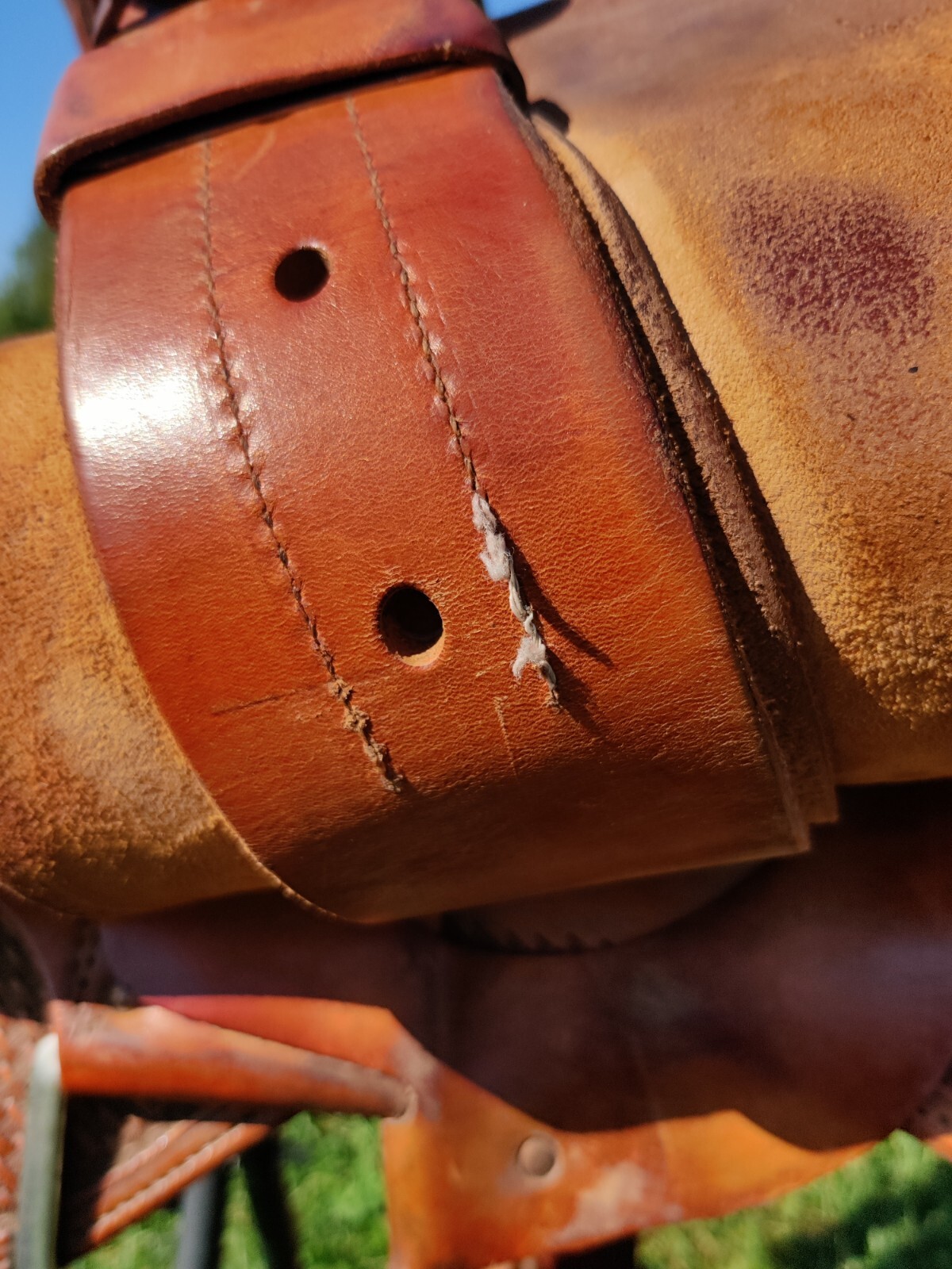 Used 15" Cactus Trophy Roping Saddle Shootout Finals Champion 2014 ...