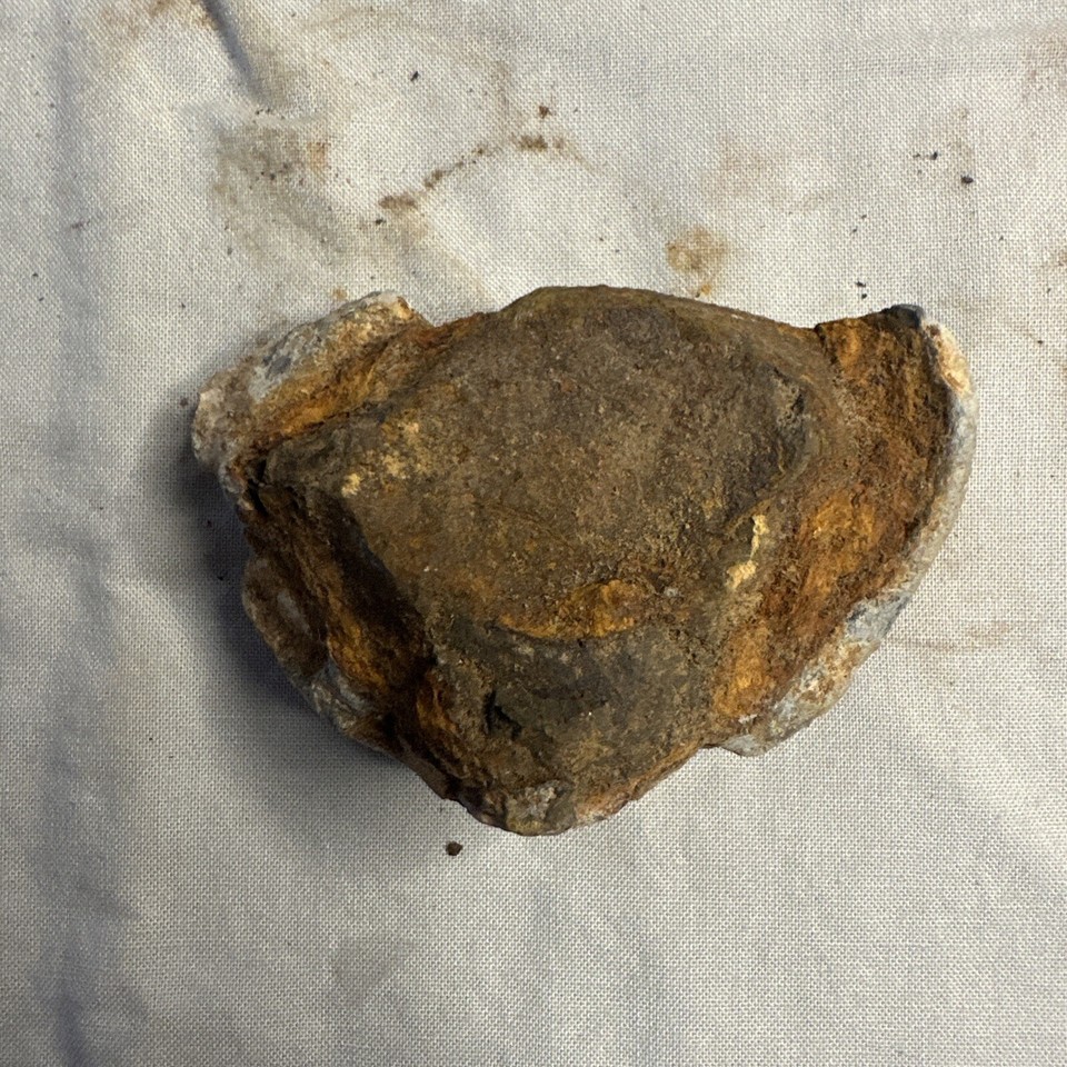 Civil War Dyer Shell Artillery Base Fired Relic | eBay