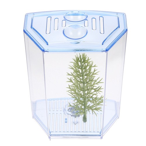 Mini Fish Tank Office Baby Living Room Landscape Small Plastic Tanks ...